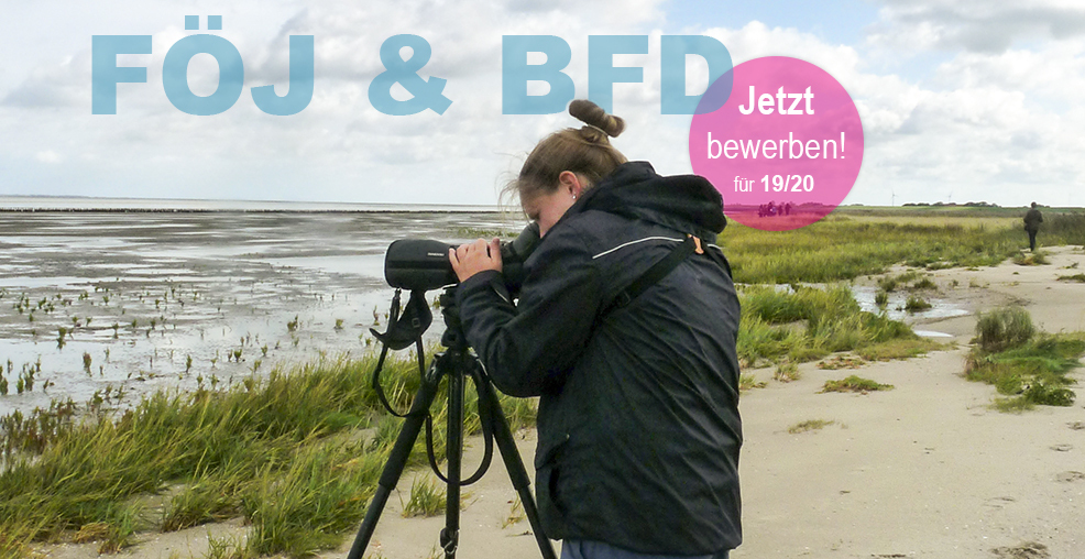 Nds. Landesbetrieb für Wasserwirtschaft, Küsten- und Naturschutz